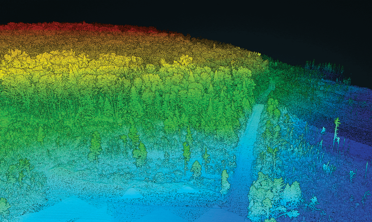 Enhancing Forest Restoration Assessment with LiDAR Data