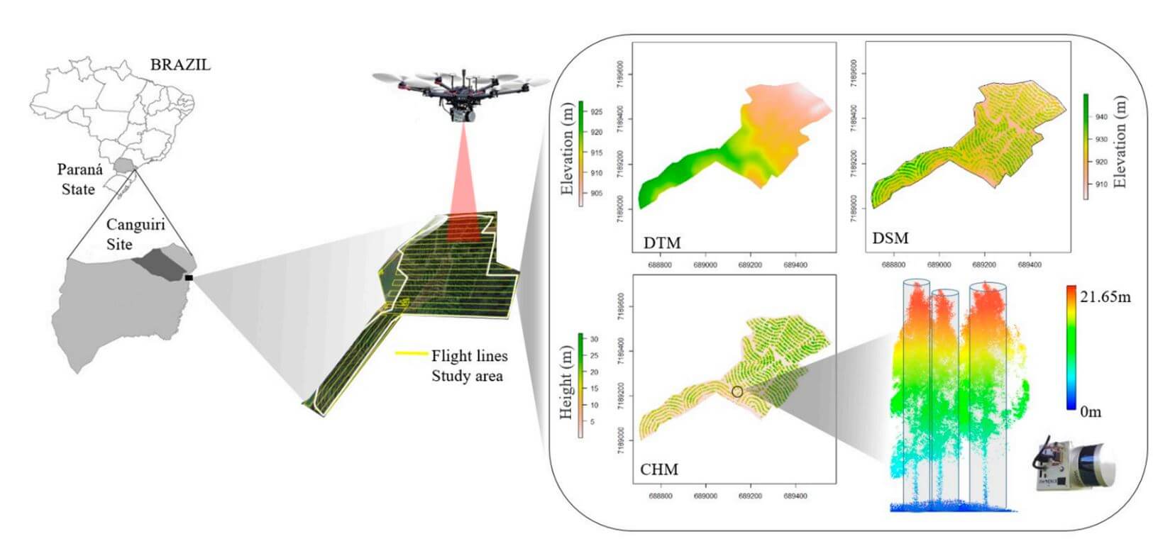 Measuring Tree Diameter & Height with UAV-Lidar