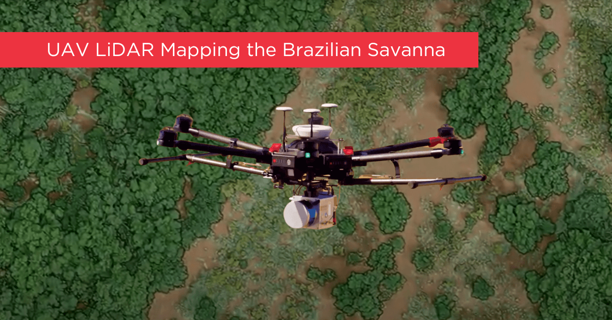 UAV Lidar Mapping: Revolutionizing Forest Analysis
