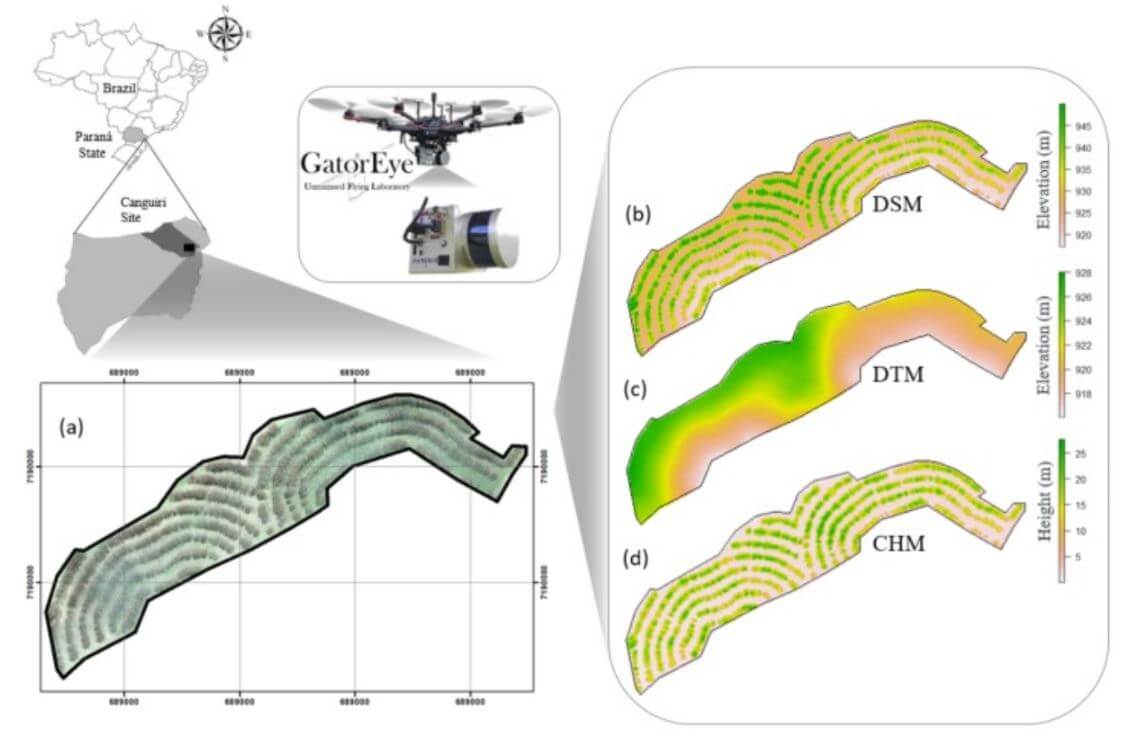 Forest inventory with high-density UAV-Lidar: machine learning ...