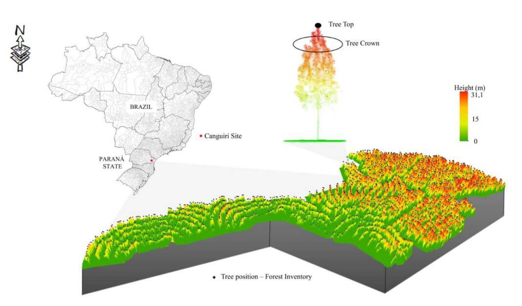 High-Density UAV-LiDAR for Forest Inventory | Phoenix LiDAR
