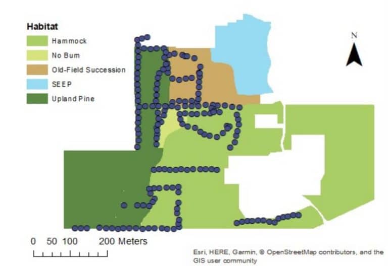 Comparing Satellite and UAV Lidar for Forestry Trail Mapping