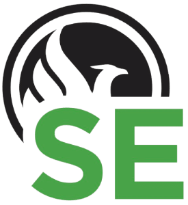 Custom 3D Laser Mapping Solutions by Phoenix LiDAR Systems